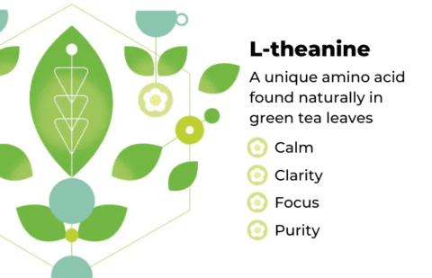 L-theanine for Sleeping: Benefits of L-Theanine - Suntheanine