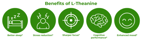 What is L-theanine? Here’s everything you need to know!
